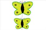 Butterfly Board,how to make Butterfly Board,Craft - webindia123.com