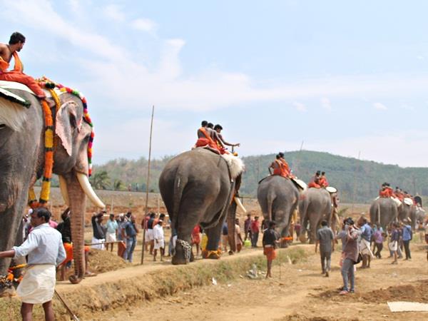 Uthralikavu Pooram | An Annual Temple Festival Celebrated With Pomp And ...