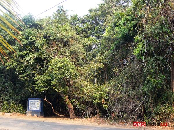 Edayilakkad Snake Temple | The Abode of Serpent Gods by Webindia123 ...
